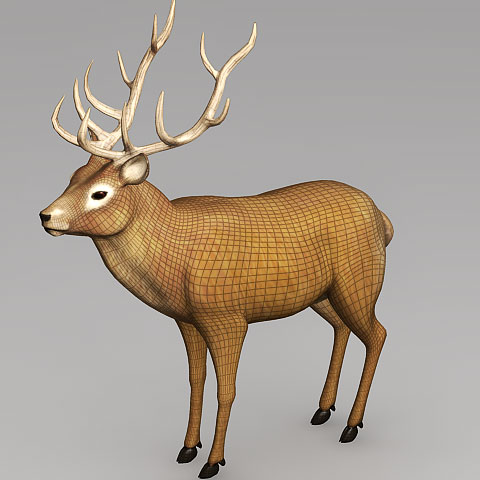 Deer 3d model